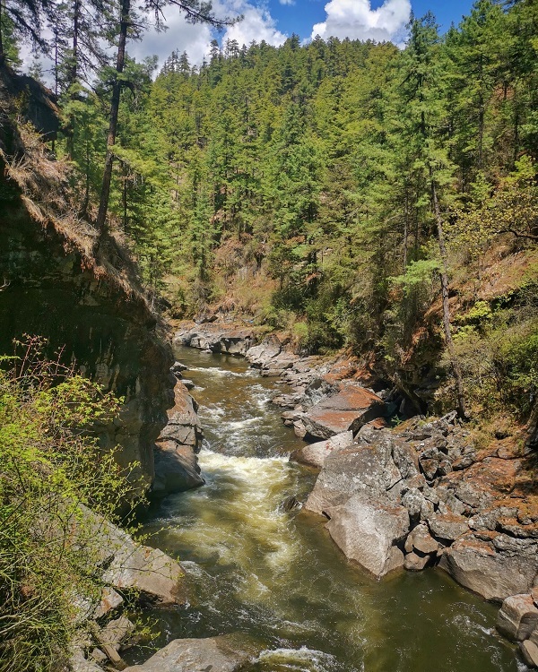 Top 40 Places to Visit and Things to Do In Bhutan | Druk Asia